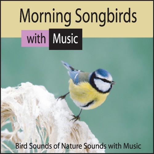 Morning Songbirds Radio - Listen to Steven Snow, Free on Pandora ...