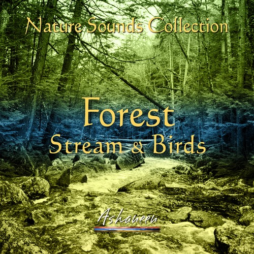 Nature Sounds Collection: Forest Stream & Birds Radio - Listen to ...