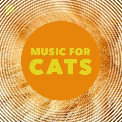 Music For Cats Radio - Listen to Unknown, Free on Pandora Internet Radio